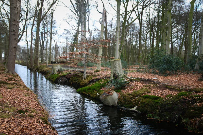 Trees in Autumn in a Peaceful and Beautiful Atmosphere Stock Photo ...