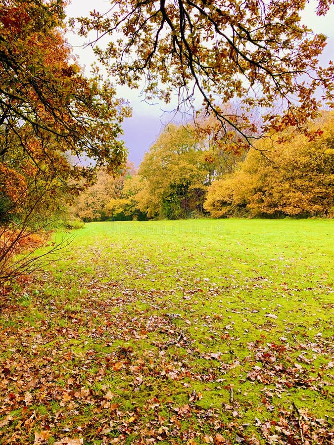 Autumn landscape stock image. Image of trees, nature - 166786909