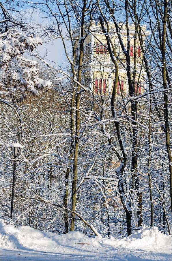 Trees in the Background of a Clock Tower in a Winter Park Stock Photo ...