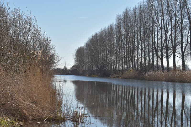 Trees on a river bank stock image. Image of winter, small - 154369907
