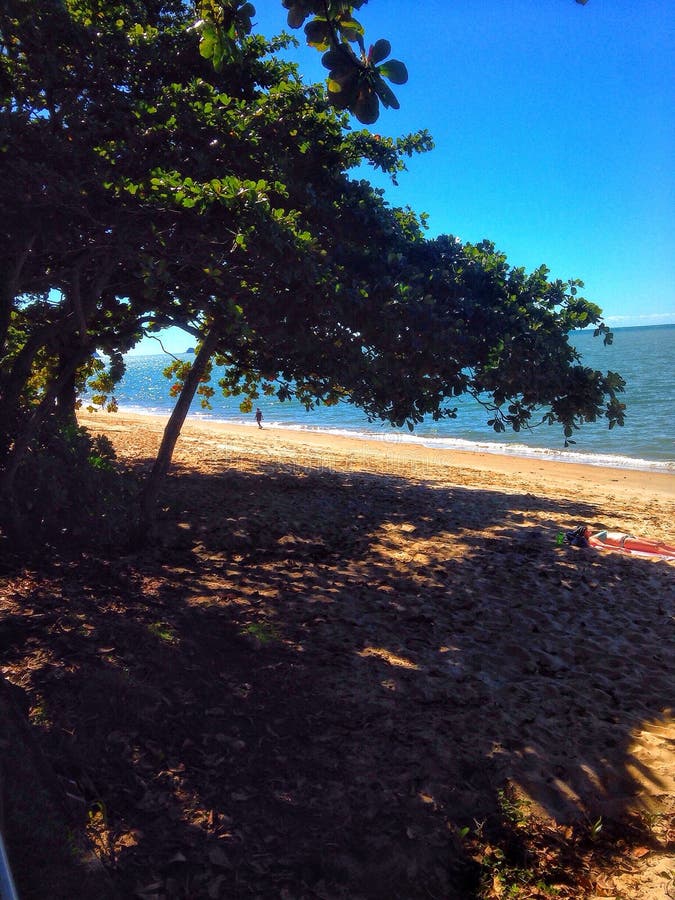 Trees beach ocean sky blue editorial photography. Image of trees - 72588757