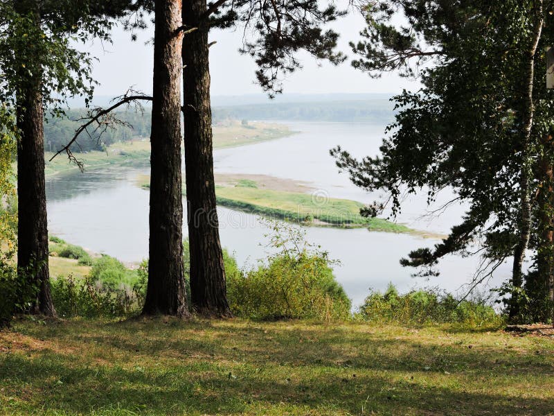 Trees32 stock image. Image of blue, path, forest, leading - 70484323
