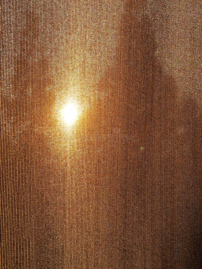 Trees Behind Screen Mesh for Unique Design Effect Beautiful Golden ...