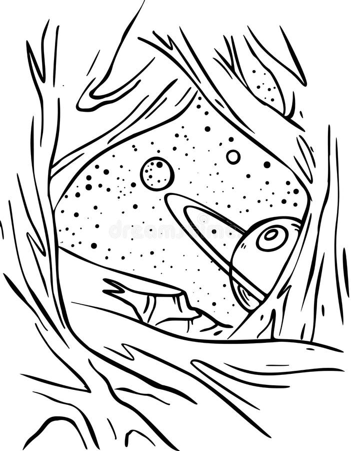 Trees Behind Which Space, Stars and Planets Hand Draw Vector ...