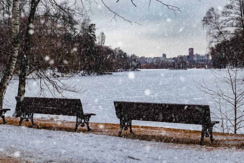 Trees and Benches by Frozen Lake in Winter during Snowfall Stock Image ...