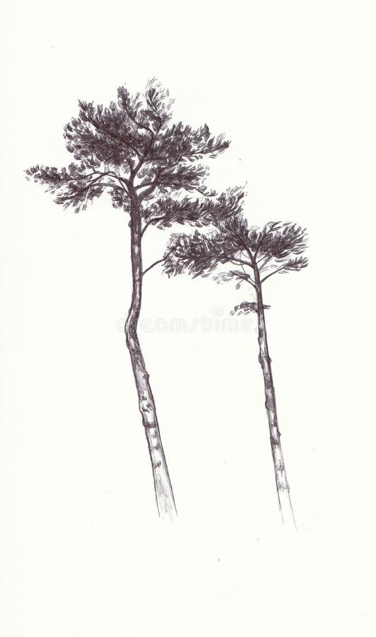 Trees in Biro stock illustration. Illustration of style - 58064579