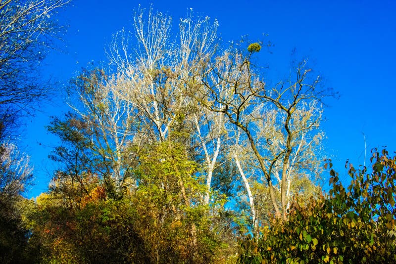 Vienna - Nature History Museum Naturhistorisches Museum in Morning ...