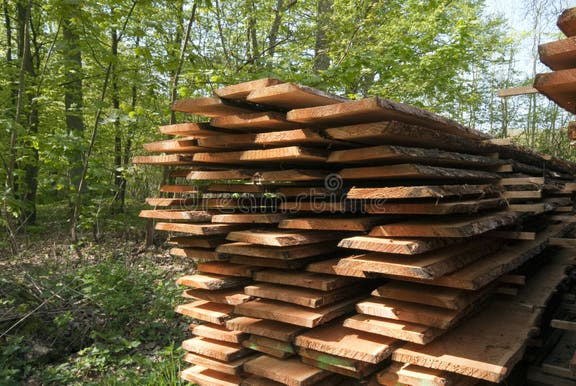 Trees and boards stock photo. Image of carpentry, staple - 25051136