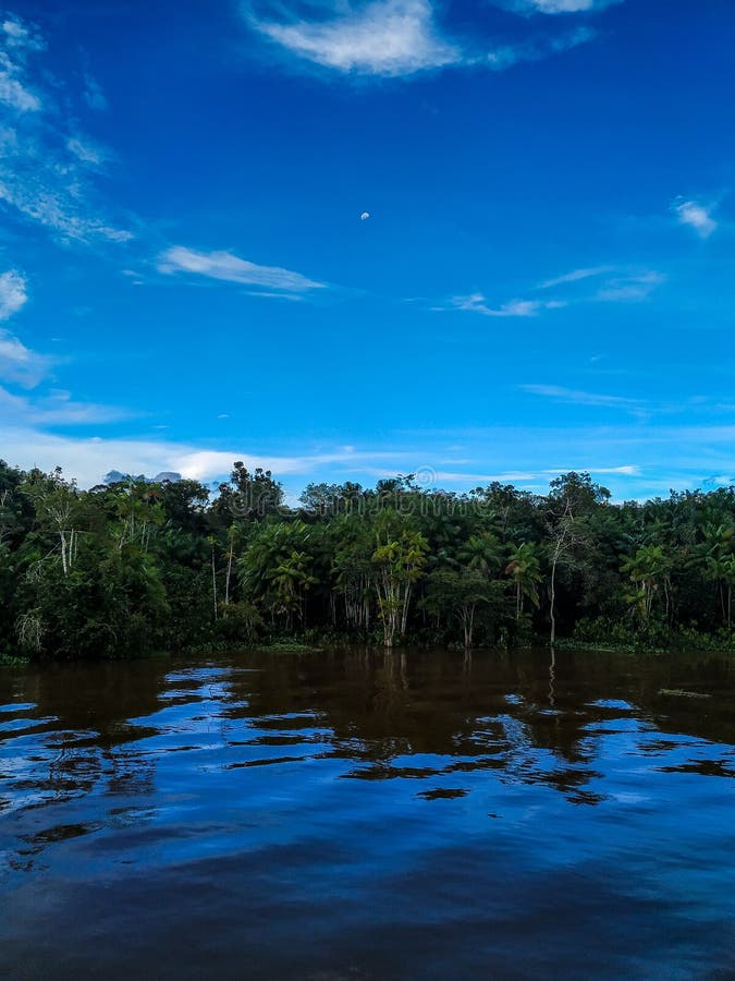 Brazilian Landscape in of the Amazon Forest Stock Image - Image of moon ...