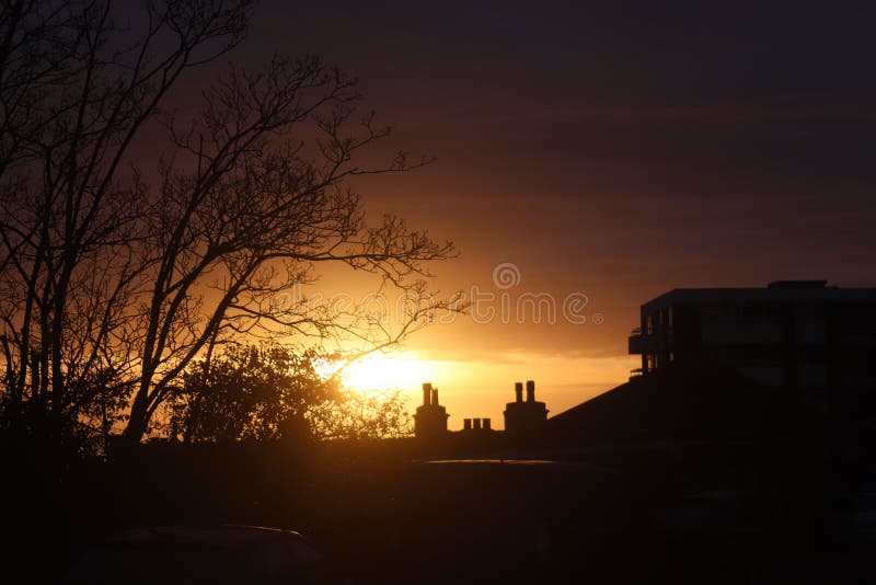 Trees and a Building with a Bright Sunset in the Background. Stock ...