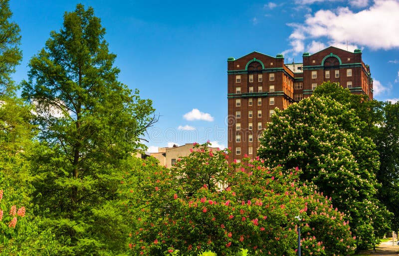 Trees and a Building at Druid Hill Park, in Baltimore, Maryland. Stock ...