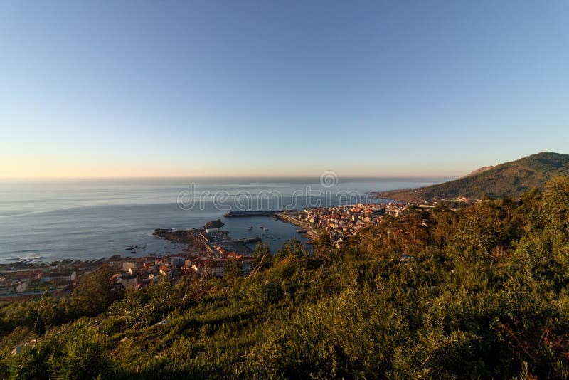 Trees and Buildings in Front of the Beach Under the Blue Sky Stock ...