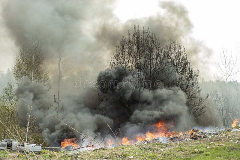 Trees are Burning. Fire in Nature. Burning Garbage Dump Stock Image ...