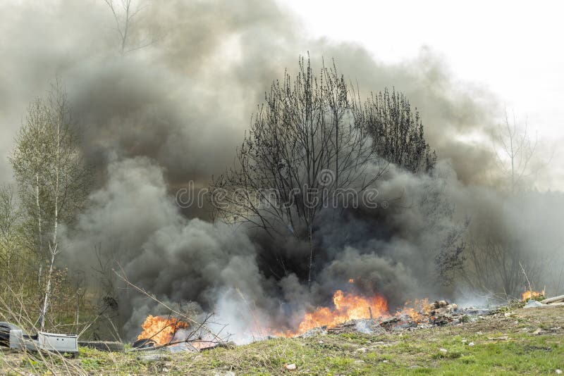 Trees are Burning. Fire in Nature. Burning Garbage Dump Stock Photo ...