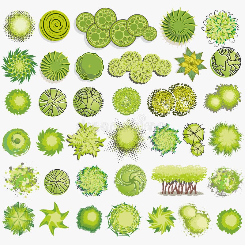 Trees and Bush Item Top View for Landscape Design, Vector Icon. Stock ...