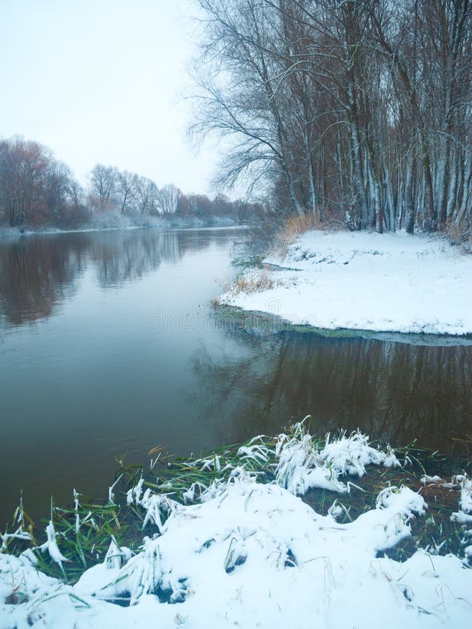 Trees and Bushes on the Bank of the Winter River Stock Photo - Image of ...