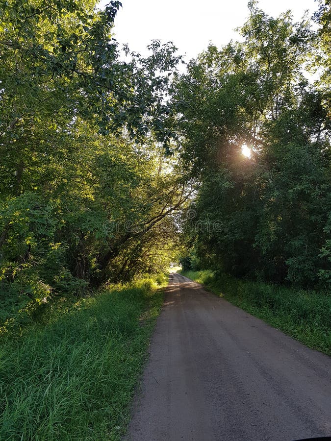 Back roads Indiana stock image. Image of back, roads - 121371983