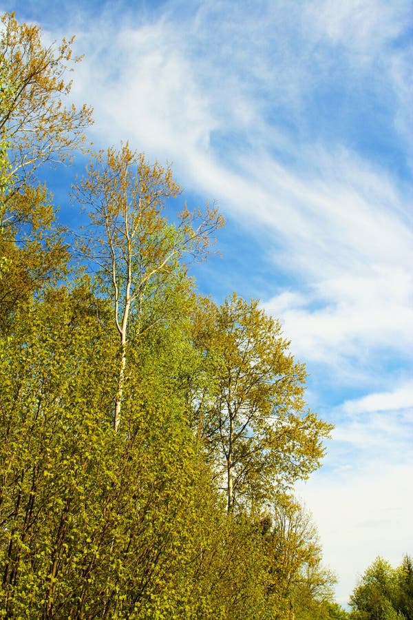 Early fall. stock image. Image of bright, autumn, landscape - 30300019