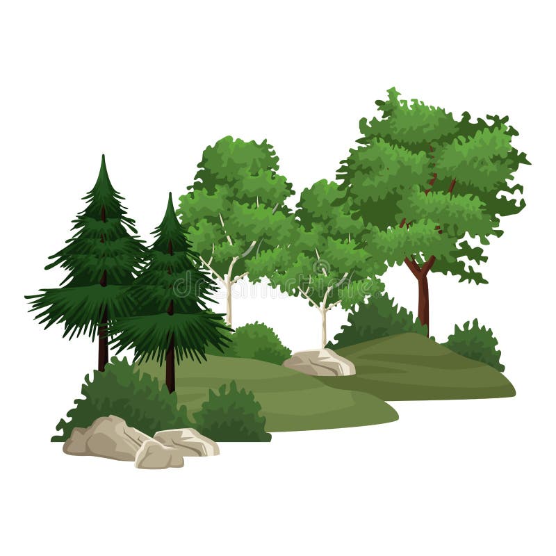 Trees and bushes stock vector. Illustration of trunk - 113443943