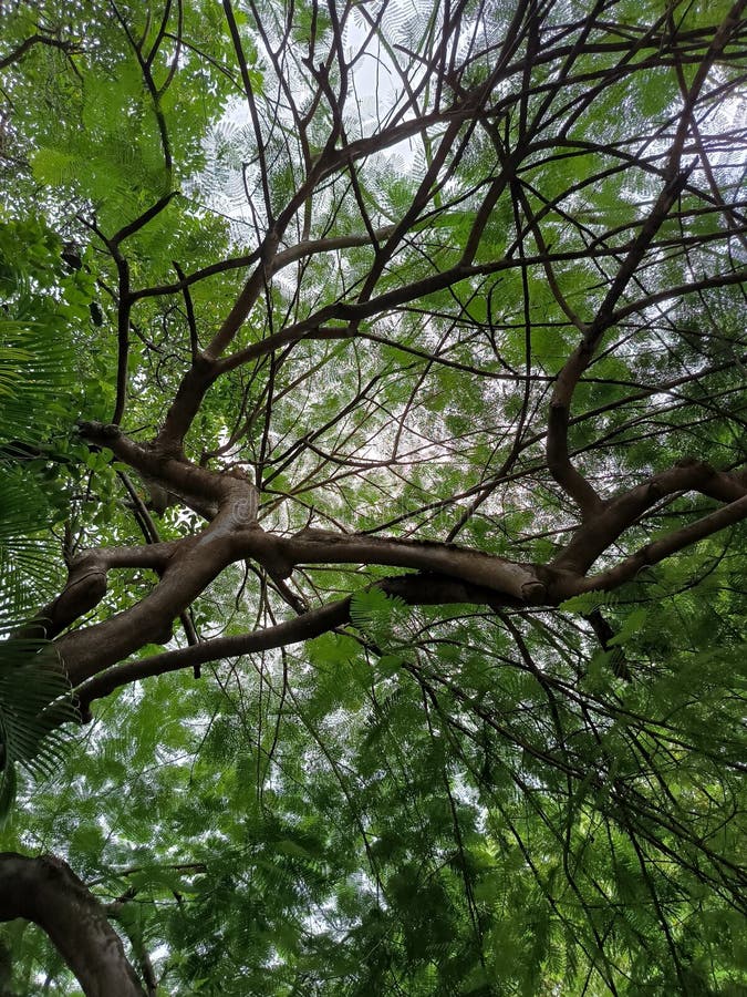 Canopy for Protection from the Sun and Outdoor Recreation by the Sea ...