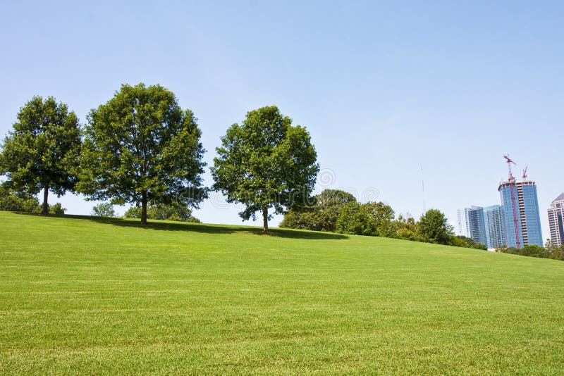 Trees on City Park Hill stock image. Image of grass, greenspace - 11750661