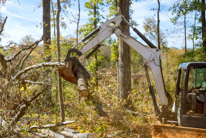 Trees Cleared from during Land Landscaping Work with Tractor Skid Steer ...