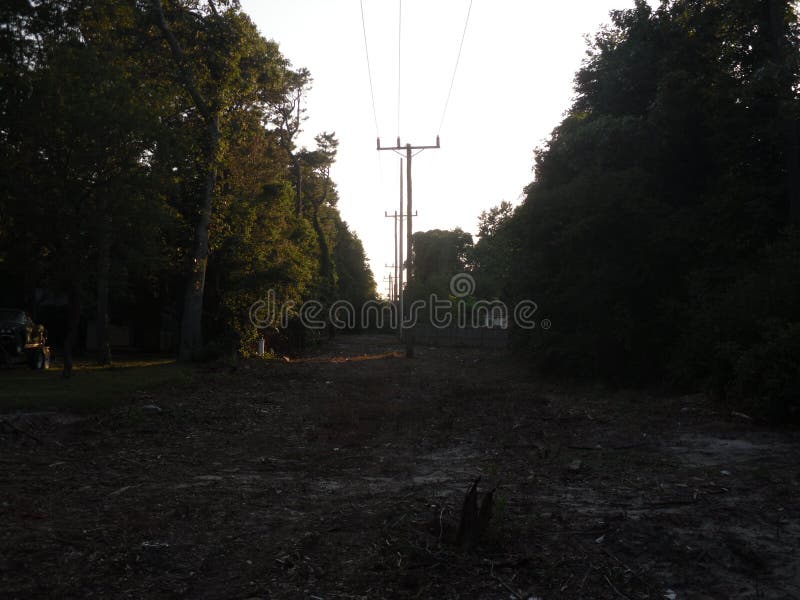 Trees Cleared with Telephone Poles Stock Image - Image of wires, scene ...