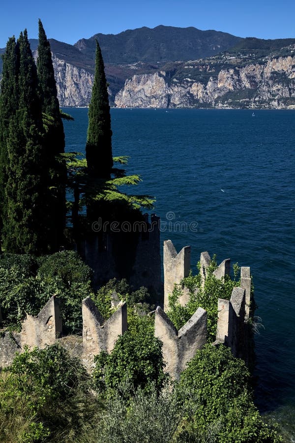 Trees on a Cliff by a Lake with a Mountain Ridge in the Distance on a ...