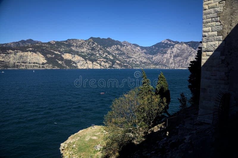 Trees on a Cliff by a Lake with a Mountain Ridge in the Distance on a ...