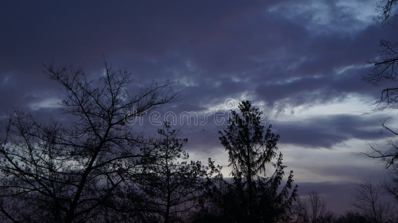 Trees with cloud stock image. Image of majestic, cloud - 109288723