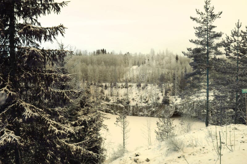 Trees in cold winter day stock photo. Image of idyllic - 74748092