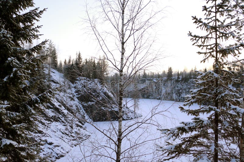 Trees in cold winter day stock photo. Image of idyllic - 74748092