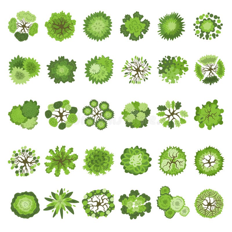Trees Collection. Map Top View Plants Park Garden Set Recent Vector ...