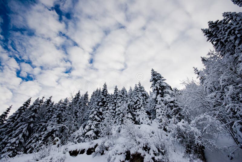 Champoussin Stock Photos - Free & Royalty-Free Stock Photos from Dreamstime