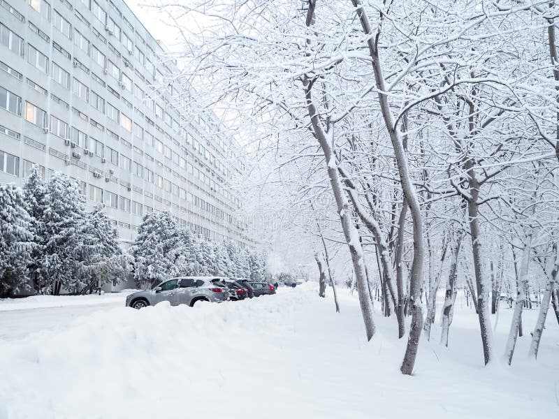 Heavy Snowfall, Very Heavy Snow Fell.. Editorial Stock Image - Image of ...