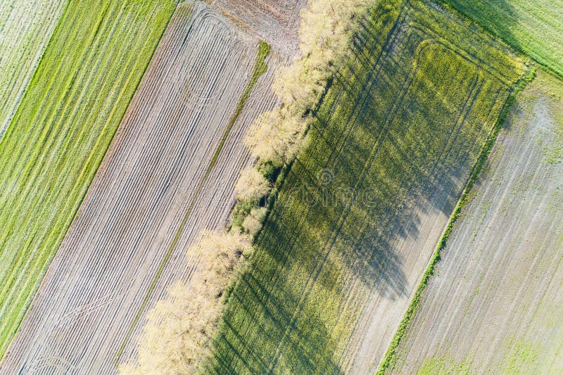 Trees and Crop Fields, Aerial Overhead View with a Drone Stock Photo ...
