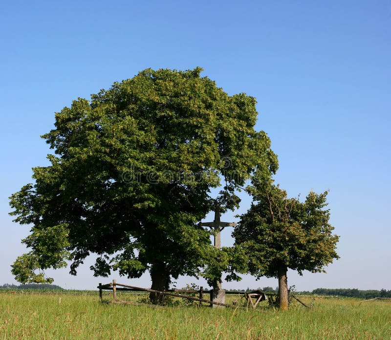 Trees and cross stock photo. Image of nature, cloudscape - 15182014