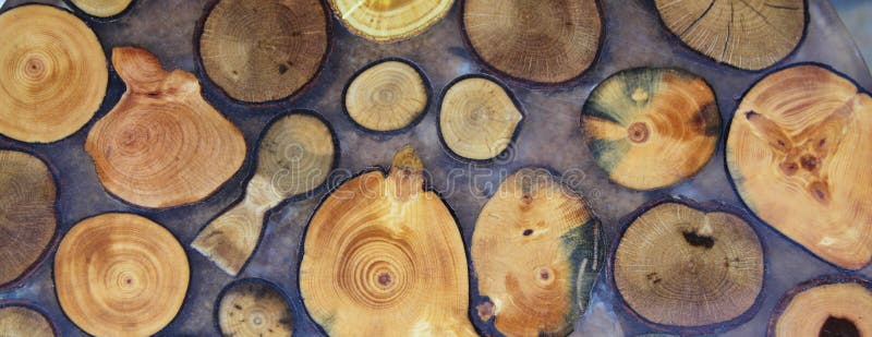 Trees Cross Sections Texture. Stock Image - Image of background ...