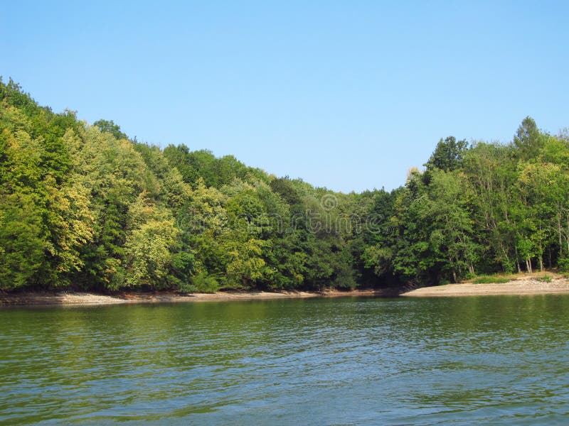 Trees at the dam stock photo. Image of calm, growing - 58761934