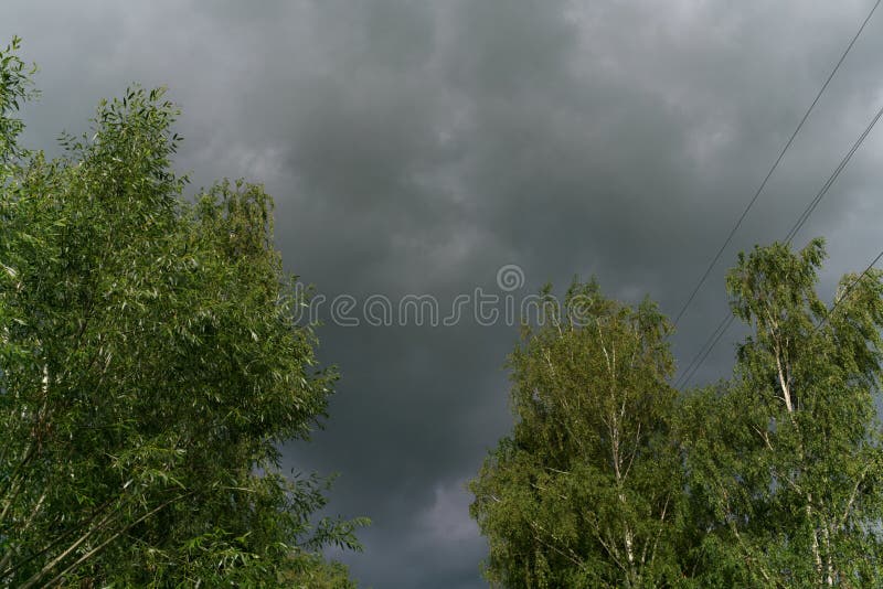 Trees and Dark Clouds before the Storm. Summer Stock Photo - Image of ...
