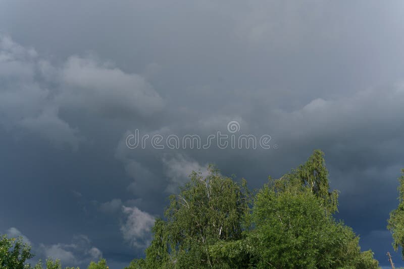 Trees and Dark Clouds before the Storm. Summer Stock Photo - Image of ...