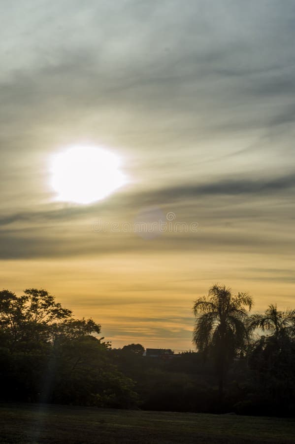 Trees with Dark Contrast, Sunset with Clouds Covering the Sun, Copy ...
