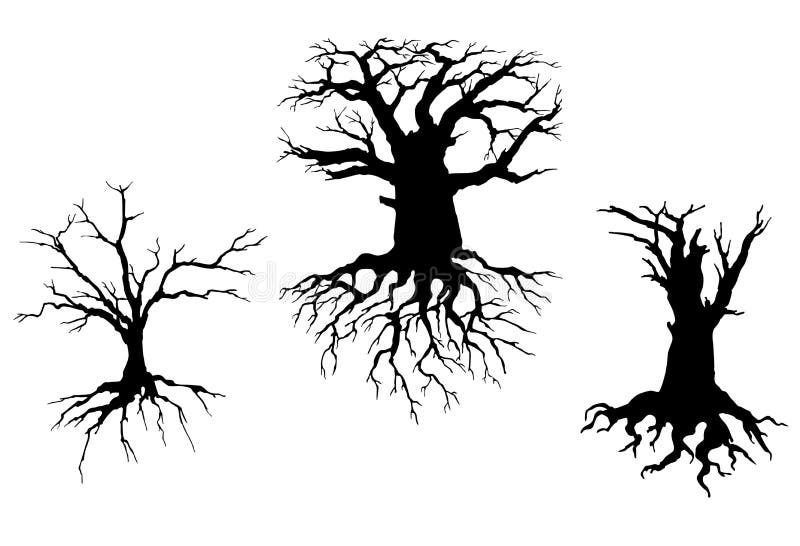 Tree Roots Silhouettes Isolated on White, Vector Set of Taproot and ...