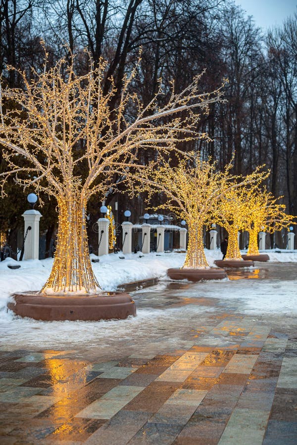 The Trees are Decorated with Garlands of Yellow Lights. the Reflection ...