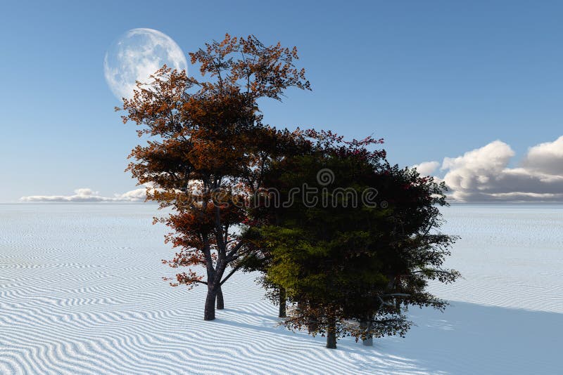 Surreal Sandy Desert Oasis Stock Illustrations – 6 Surreal Sandy Desert ...