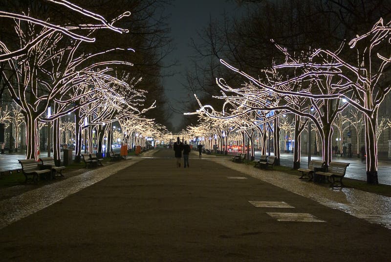 Trees Downtown Decorated with Lights Stock Image - Image of people ...