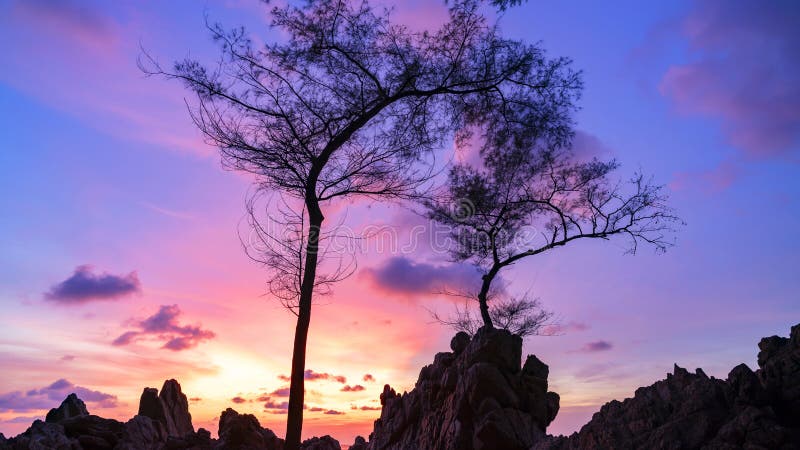 Trees with Dramatic Sunset Sky and Clouds Stock Image - Image of beauty ...