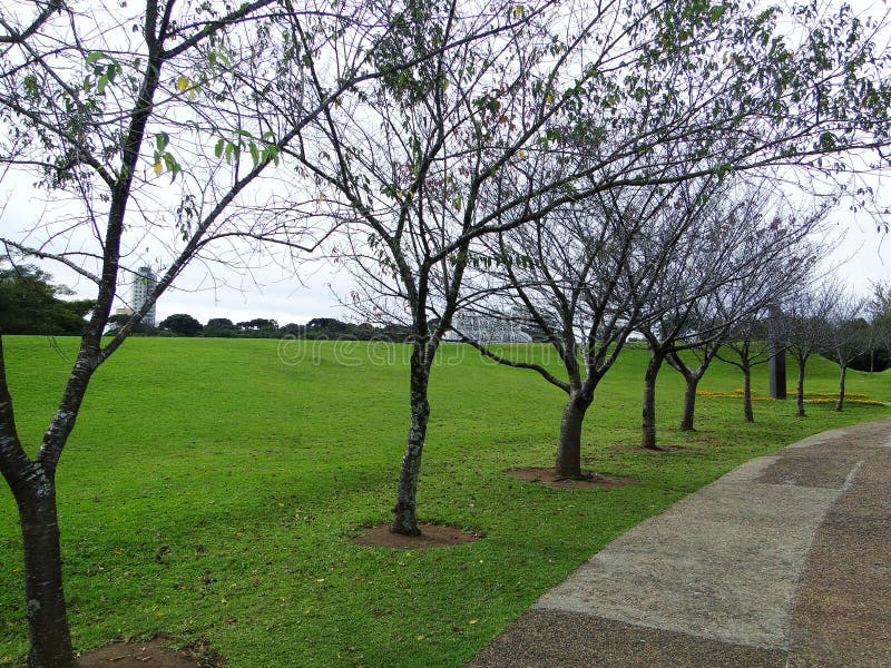 Trees stock photo. Image of grass, garden, field, autumn - 44747236