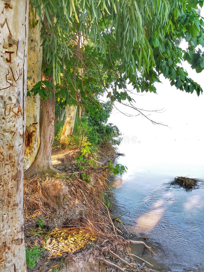 Edge of river chinab stock photo. Image of chinab, edge - 255413892