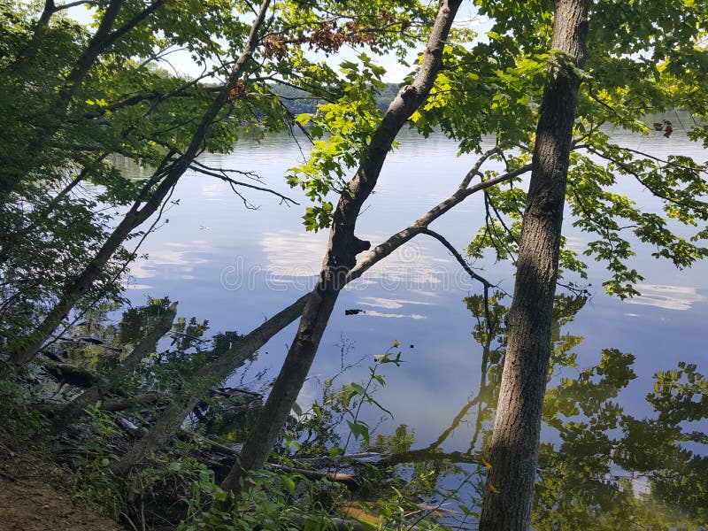 Leaning over the Edge stock photo. Image of looking, clear - 5115988